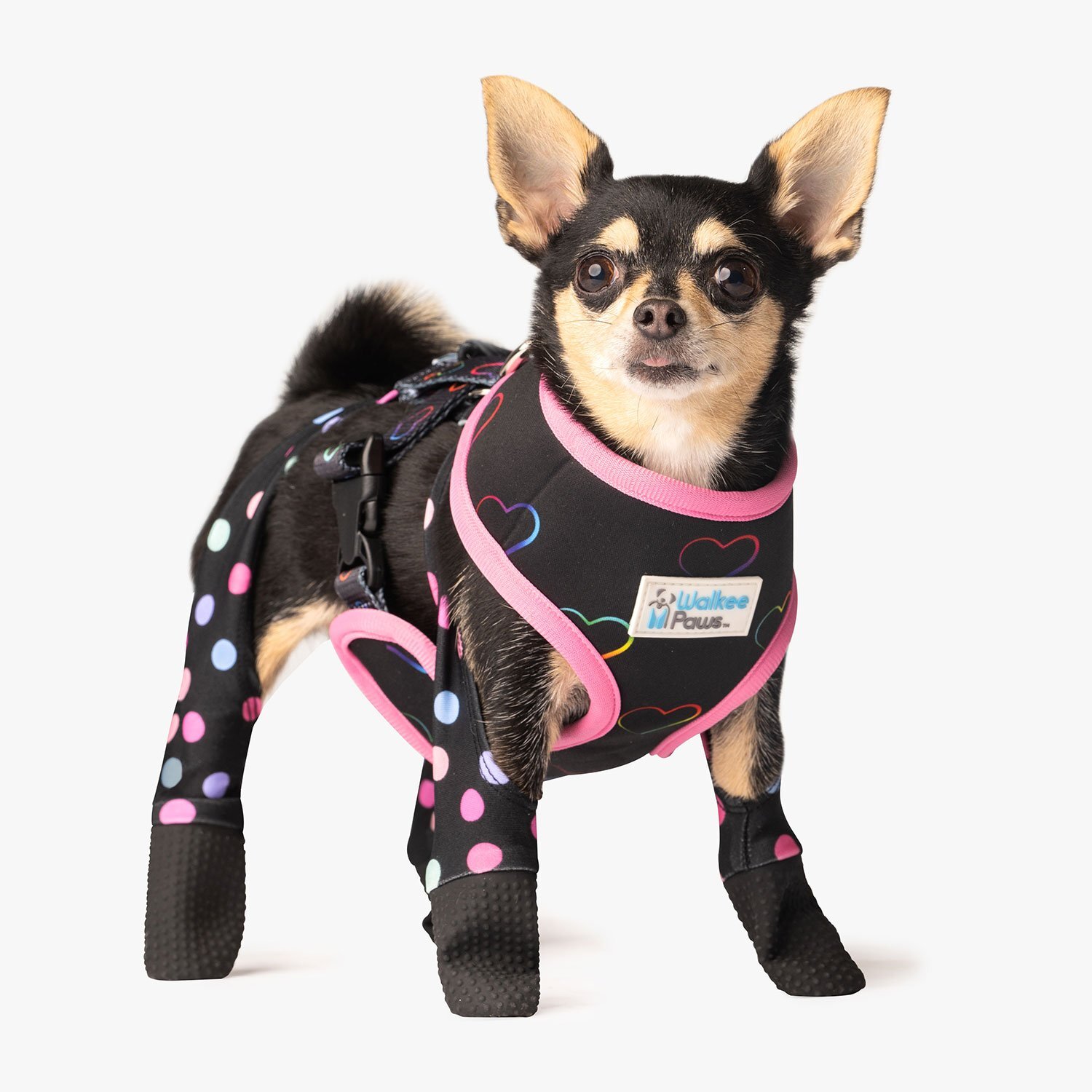 Dog Leg Warmers Exist And They're Perfect For Winter - DodoWell - The Dodo