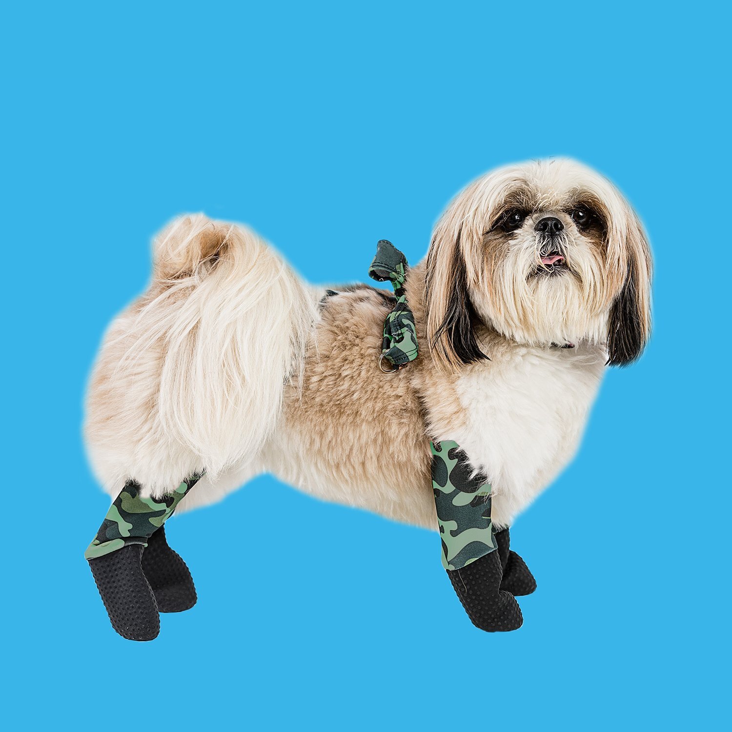 Dog Leg Warmers Exist And They're Perfect For Winter - DodoWell - The Dodo