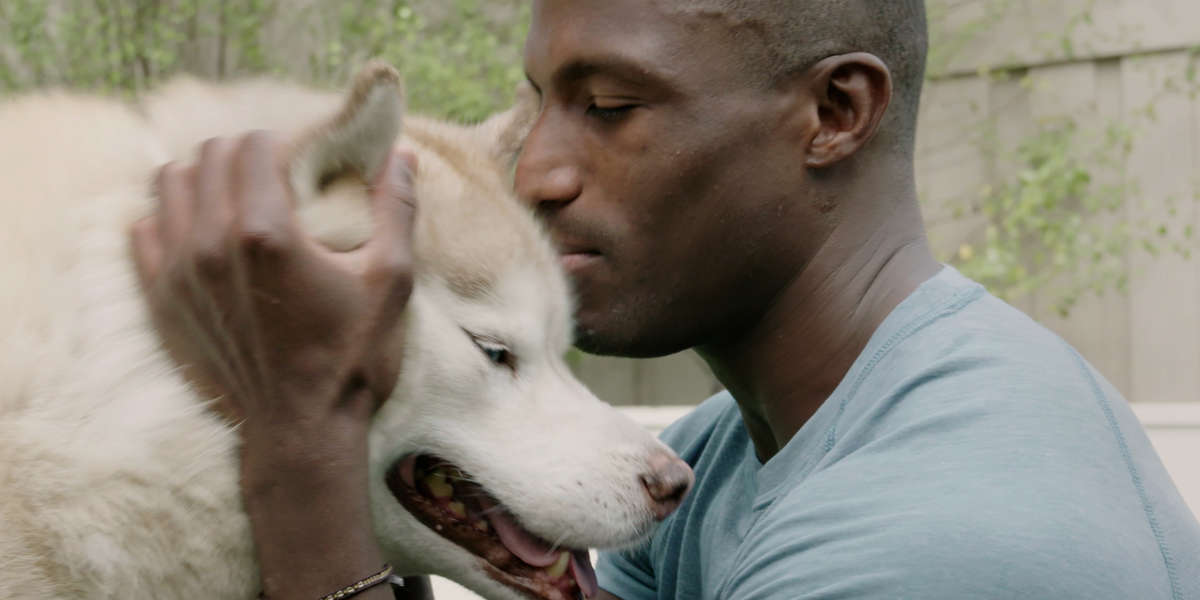 This Veteran And His Husky Are Bonded For Life - The Dodo