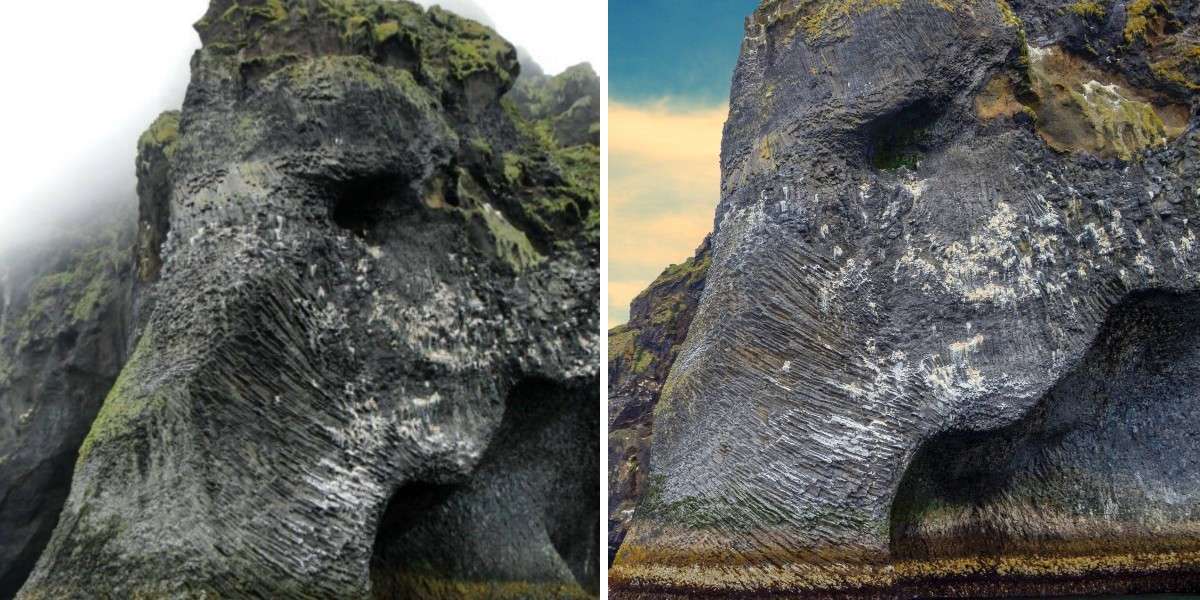 People Are Freaking Out Over The Elephant Hidden In This Rock - The Dodo