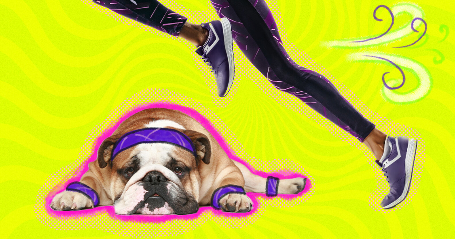 How To Keep A Lazy Dog Active - DodoWell - The Dodo