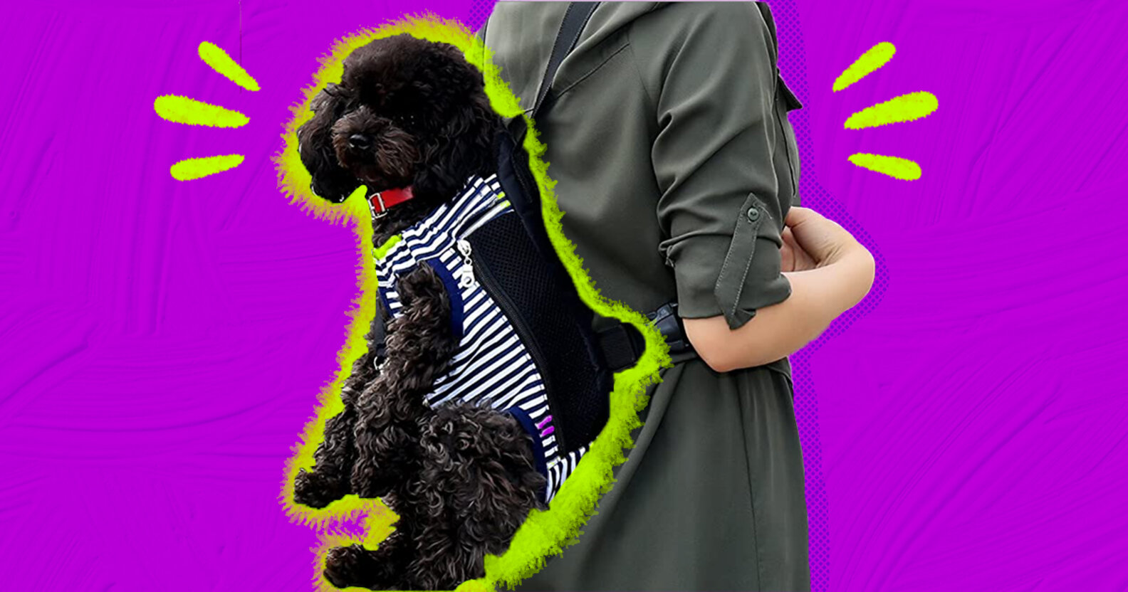 The Best Dog Backpacks For Keeping Your Pup As Close As Possible ...