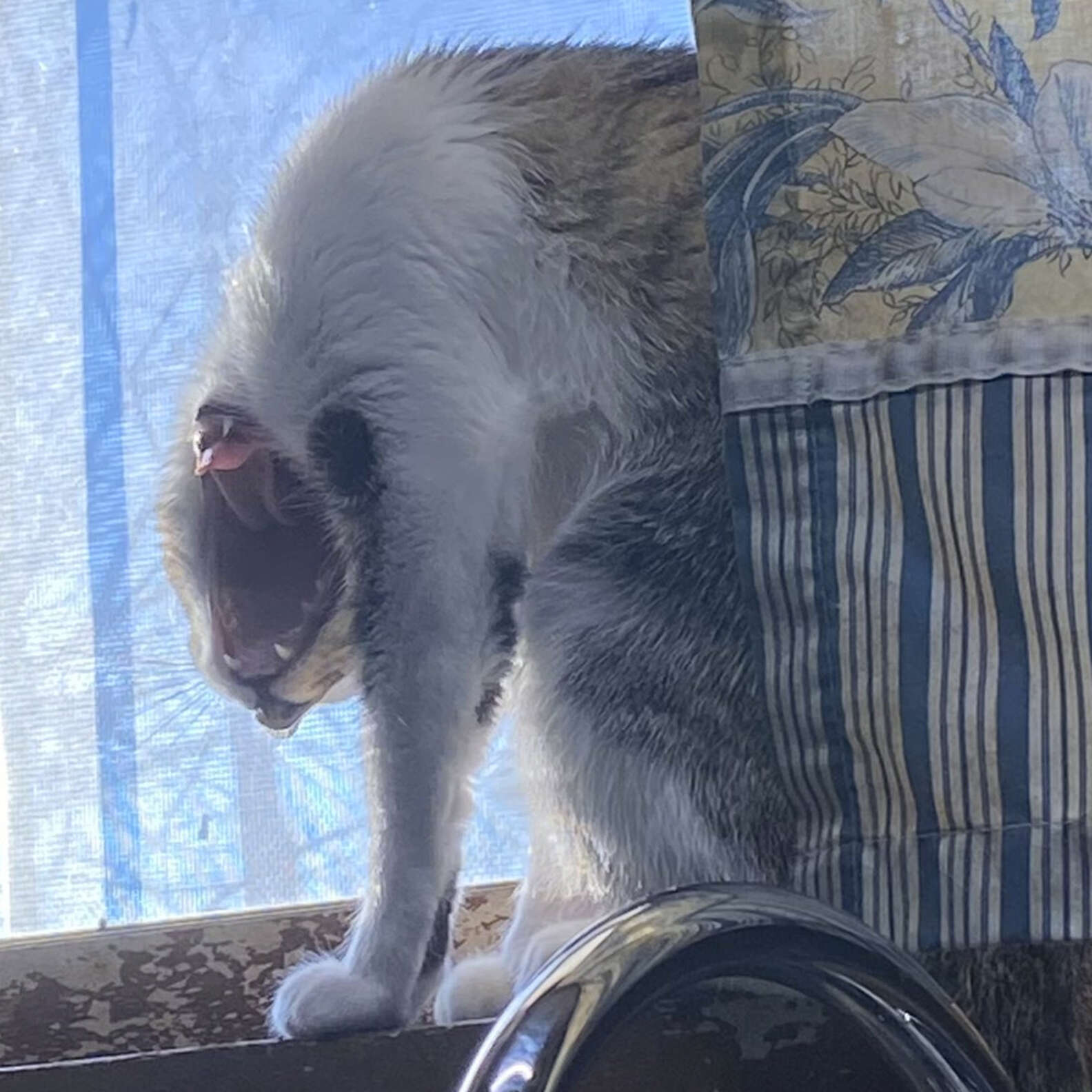 Well that was Horrifying : r/masseffect