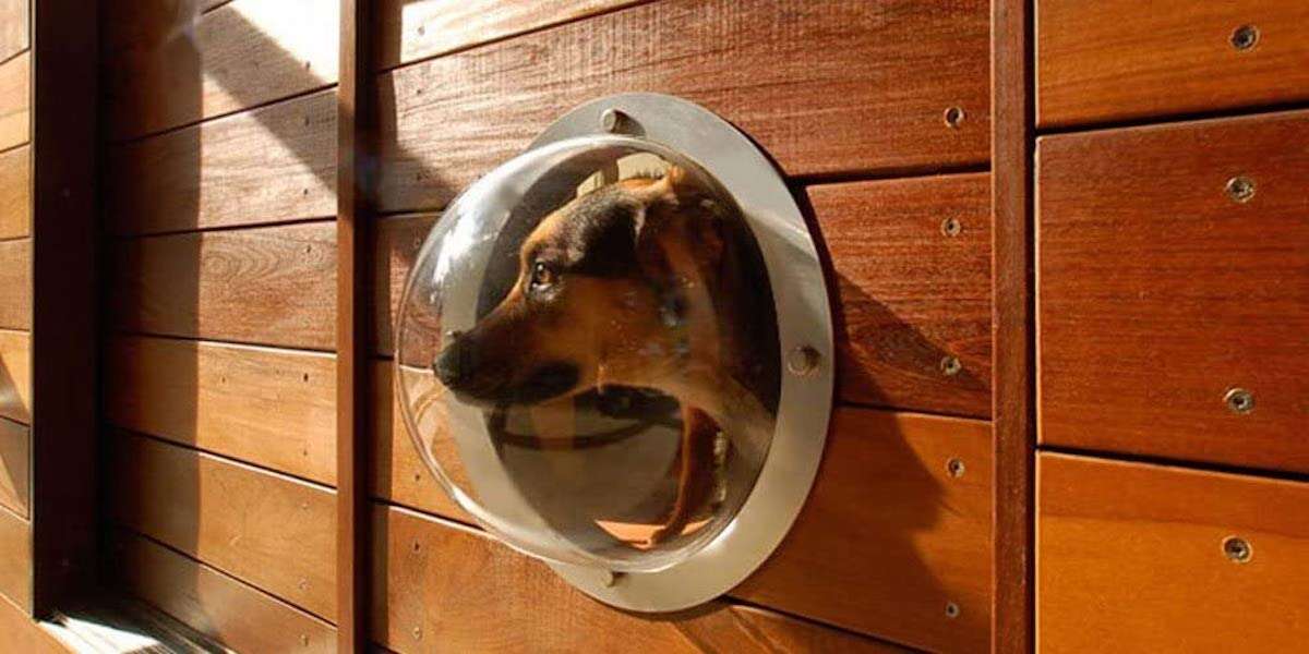 Does A Dog Need A Special Bubble