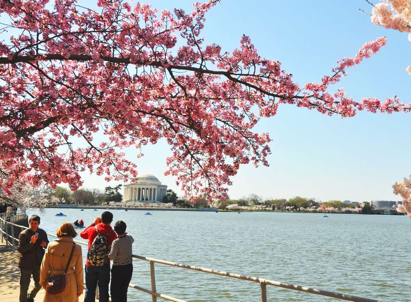 Washington DC Events & Activities We're Looking Forward to in 2021 ...