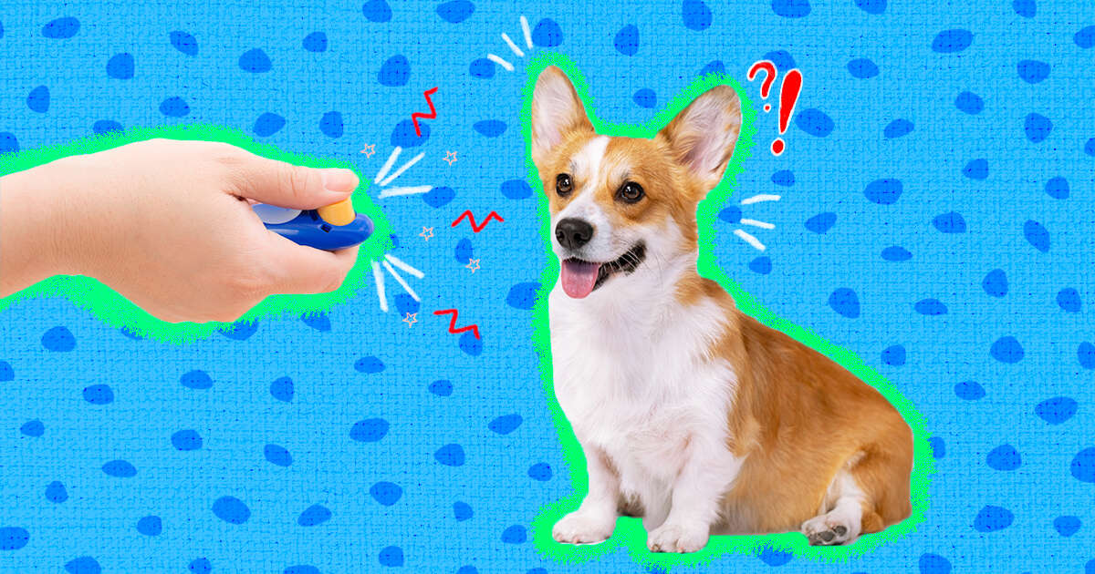 How Does A Dog Training Clicker Work