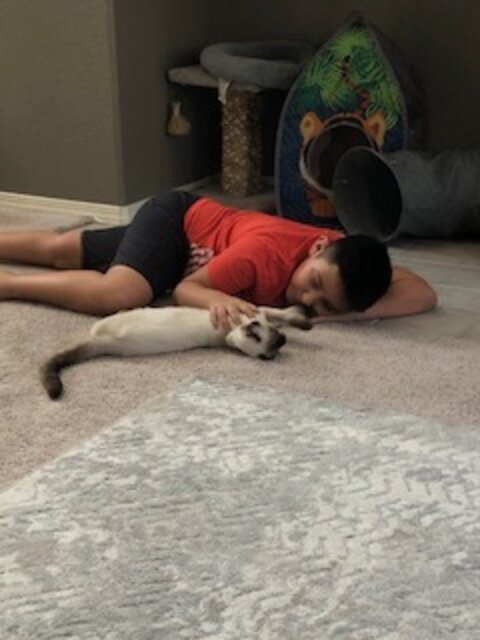 Boy Starts Crying When He Sees His Lost Cat - The Dodo