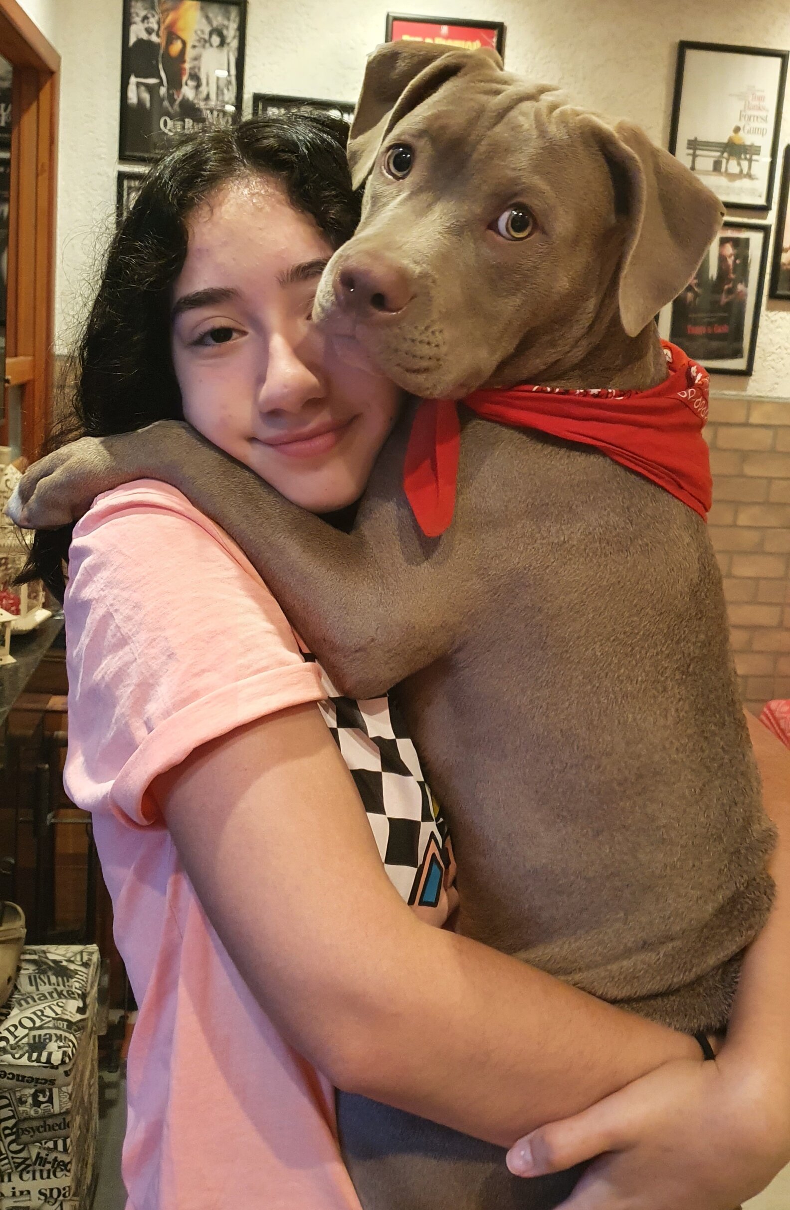 Pittie Sneaks The Cutest Nap With His Sister After A Day At The Beach ...