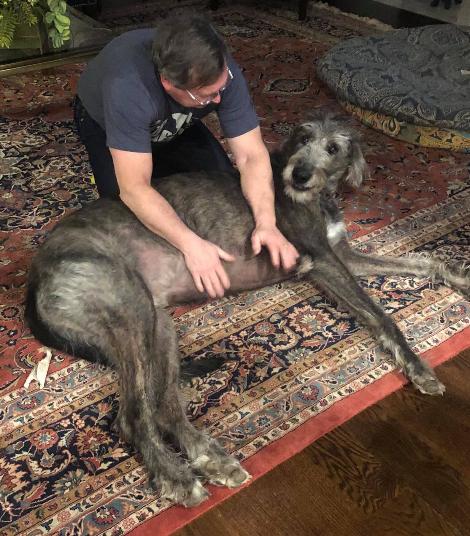 Girl Can't Stop Crying When She's Reunited With Her Lost Dog - The Dodo
