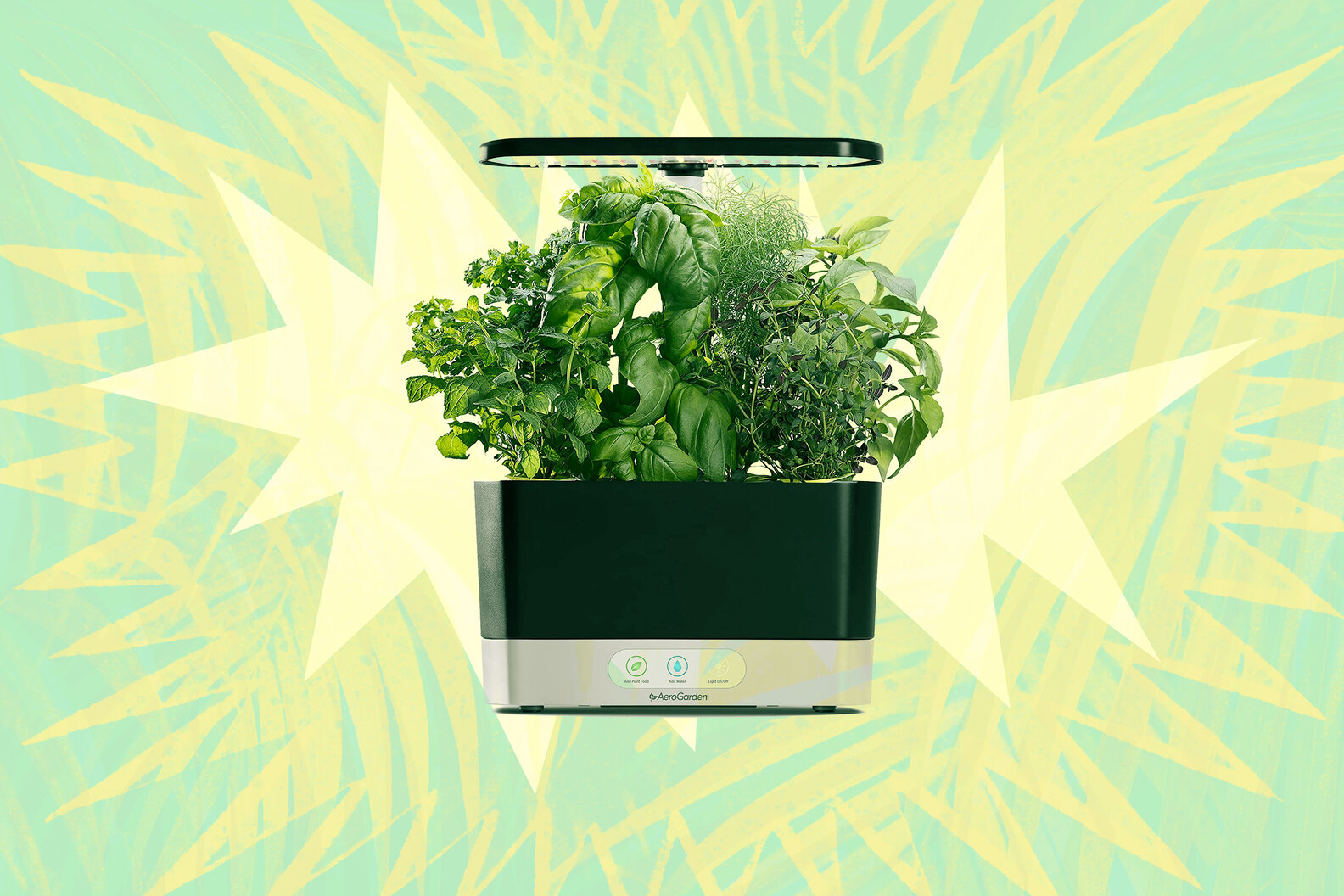 How to Grow Your Indoor Garden: Best Things to Buy for Veggies & Herbs ...
