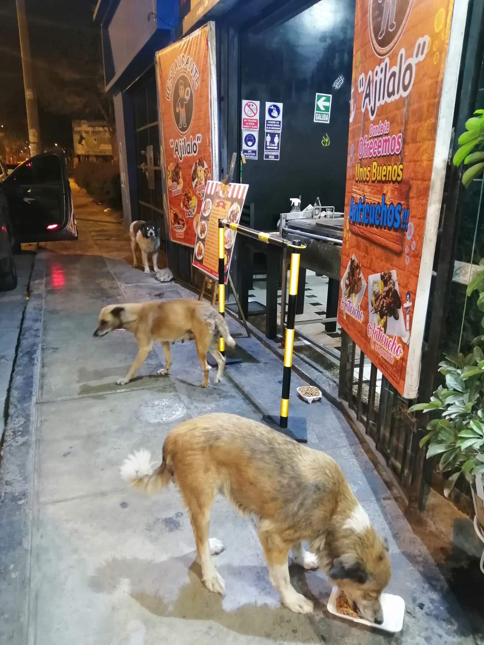 Restaurant Owner Prepares A Free Meal For Every Stray Dog Who Visits ...