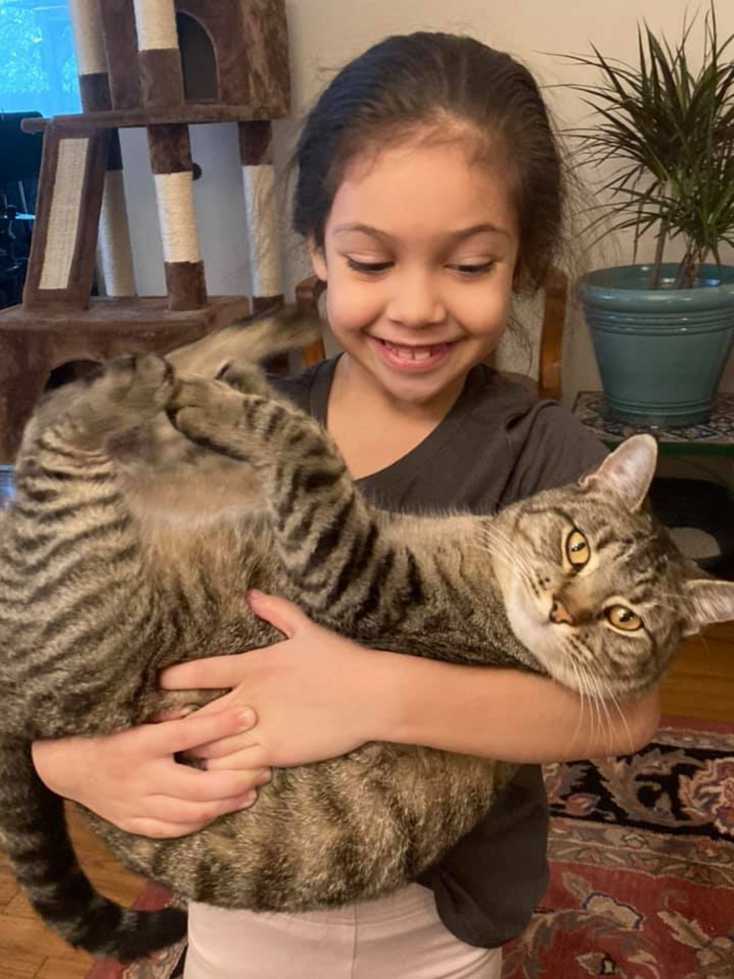 Cat Checks 'Magic Tile' Every Day After Finding Some Food There - The Dodo