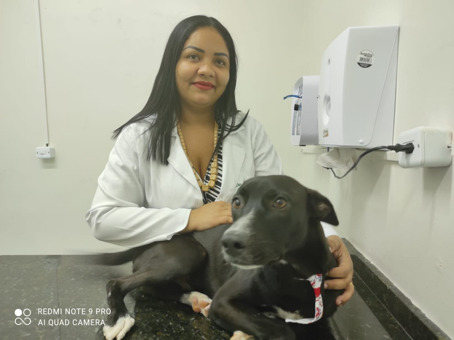 Injured Stray Dog Wanders Into Vet Clinic To Ask People For Help - The Dodo