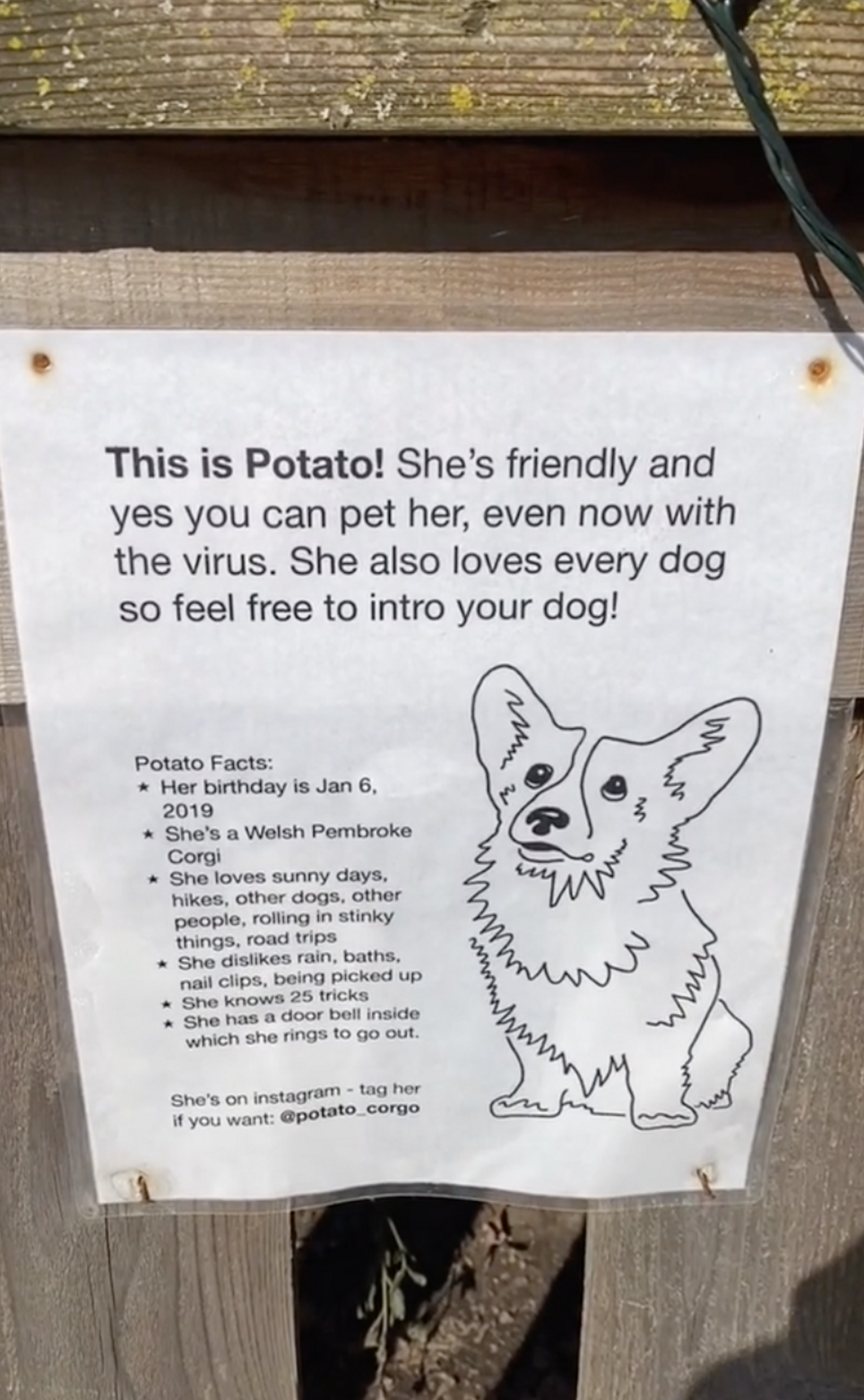 Dog Loves Greeting Neighbors So Her Family Put Up A Sign - The Dodo
