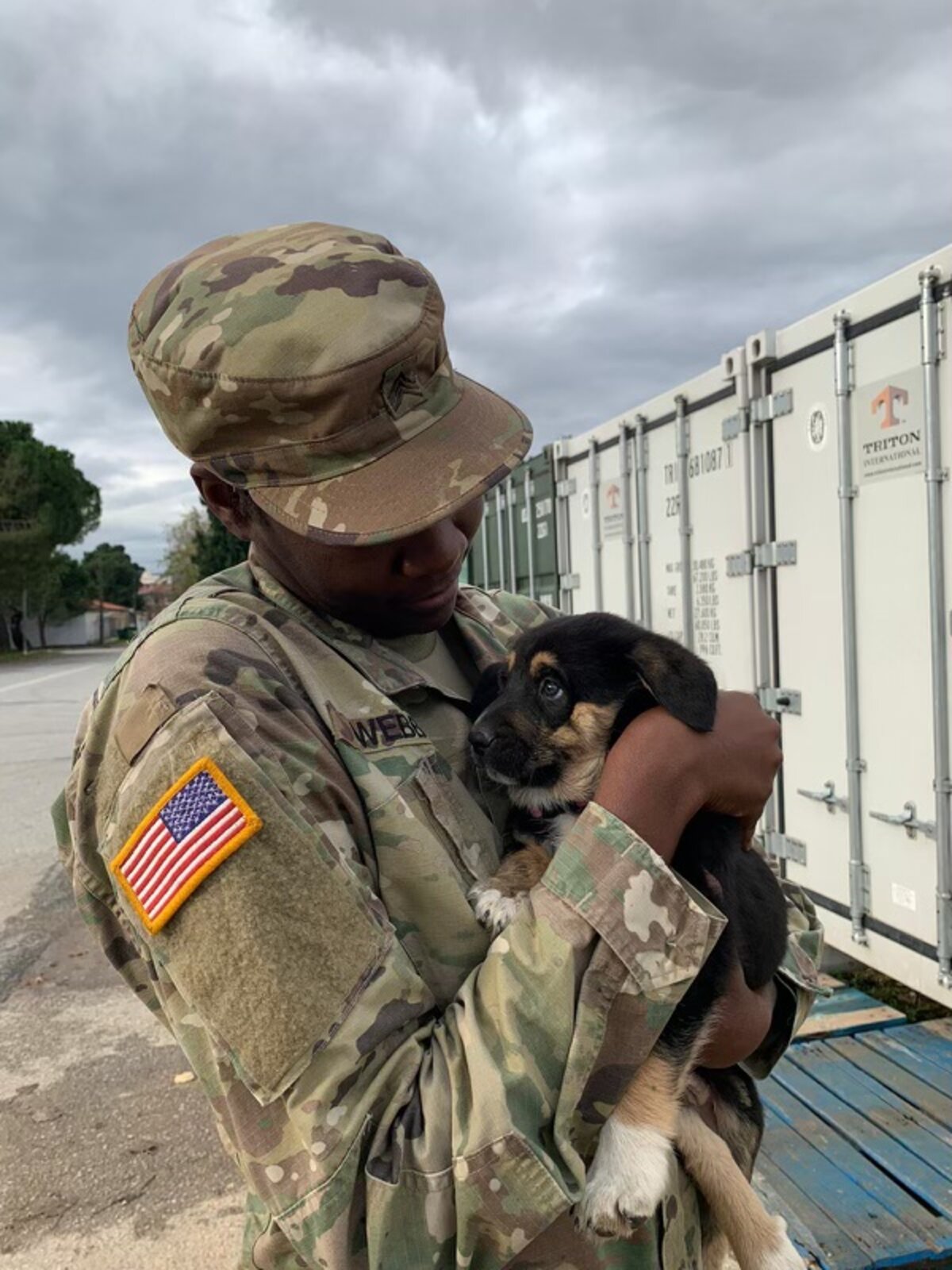 Army Sergeant Reunites With The Puppy She Saved Overseas - The Dodo