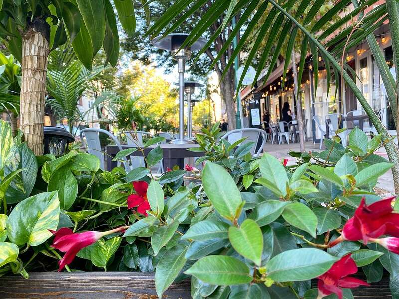 REX 1516: A Bar in Philadelphia, PA - Thrillist