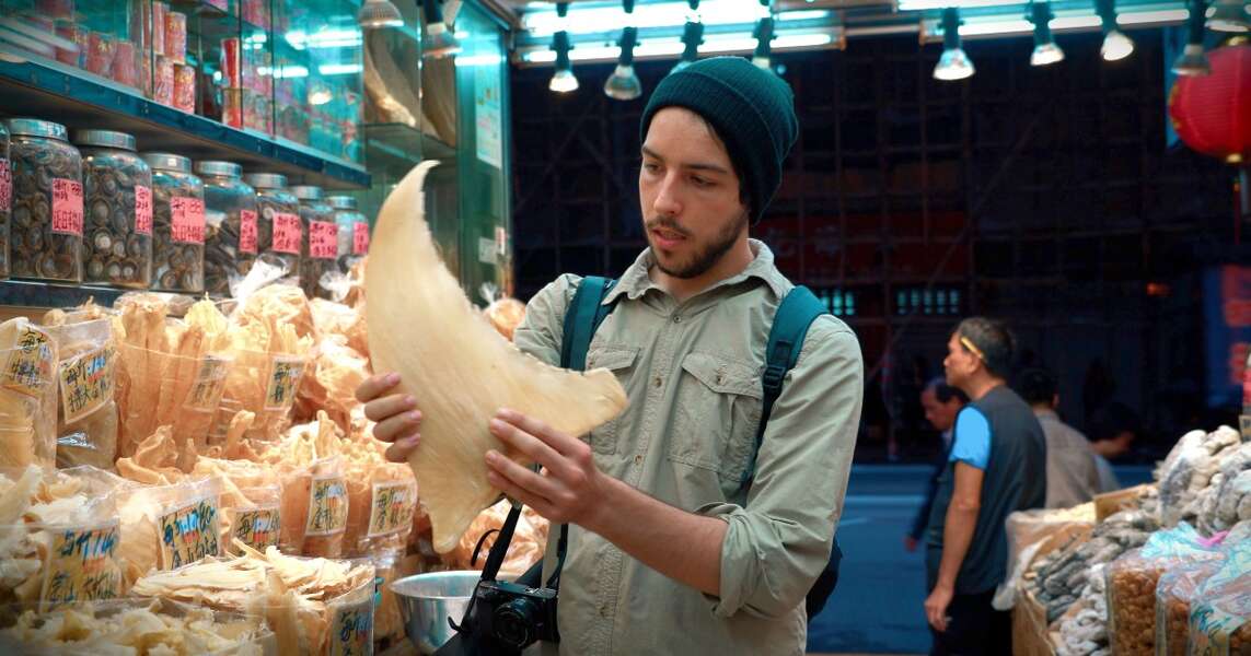 'Seaspiracy' Netflix Review: Fishing Industry Has Some Dark Secrets ...
