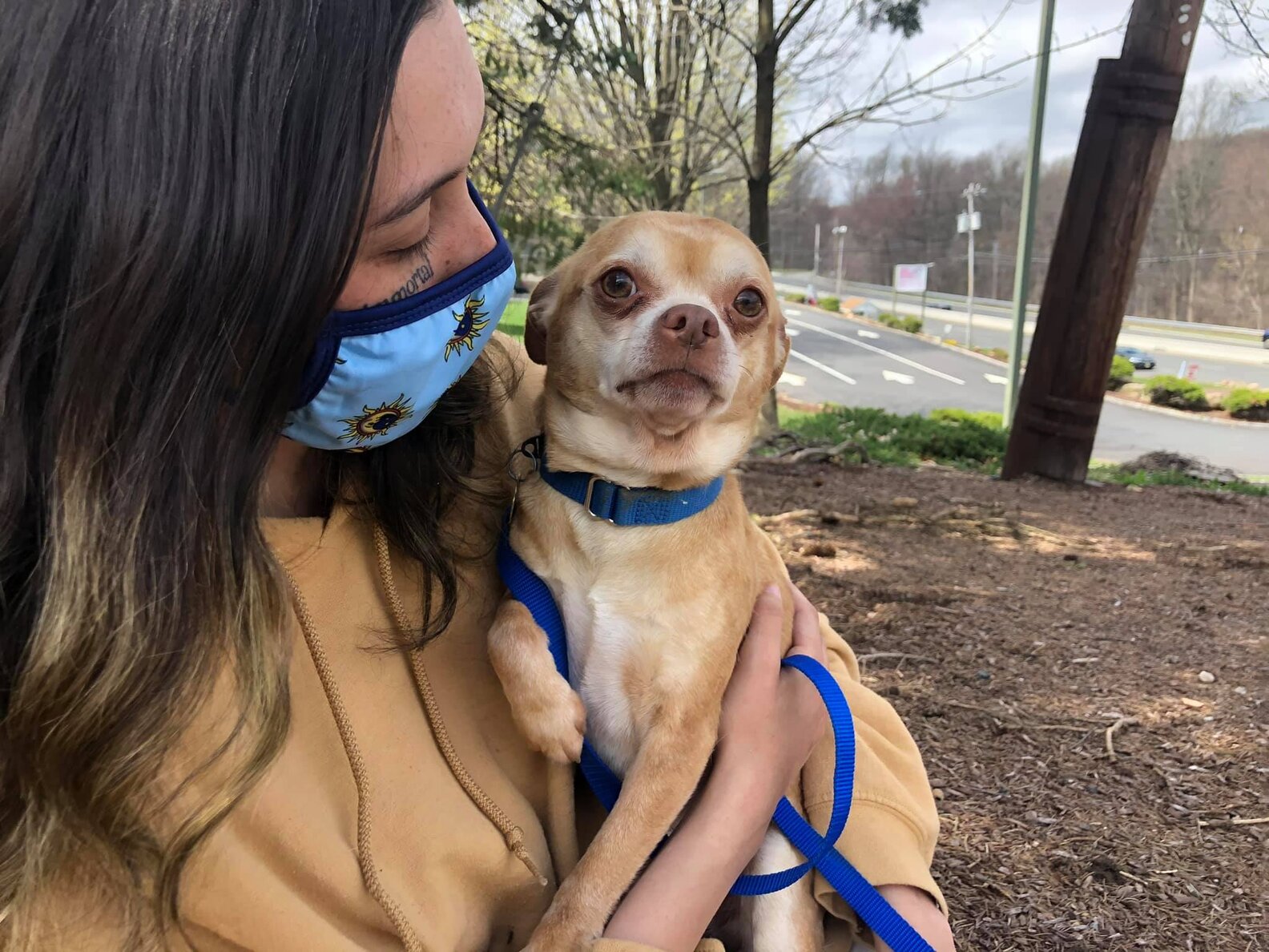 Foster Mom Posts Hilarious Adoption Ad For 'Demonic Chihuahua' - The Dodo