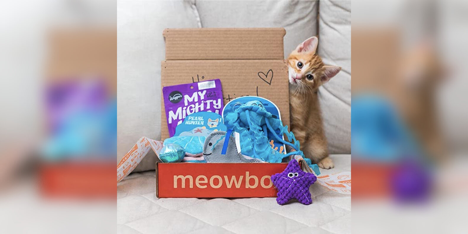 The 5 Most Fun Cat Subscription Boxes - DodoWell - The Dodo