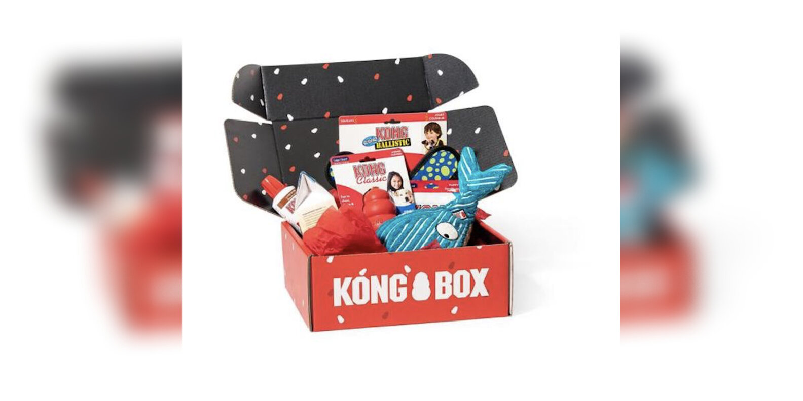 The 9 Most Fun Dog Subscription Boxes - DodoWell - The Dodo