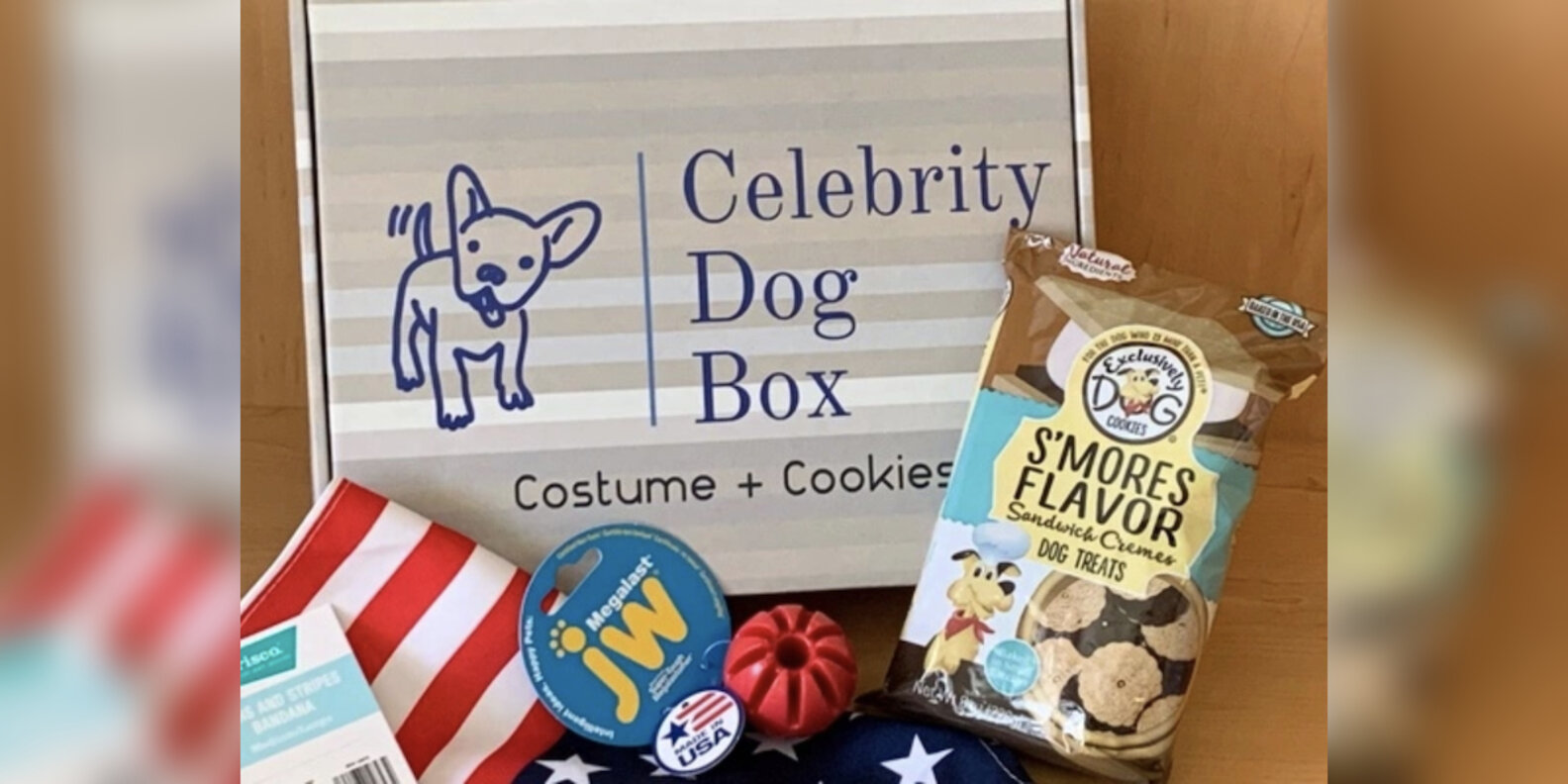 The 9 Most Fun Dog Subscription Boxes - DodoWell - The Dodo
