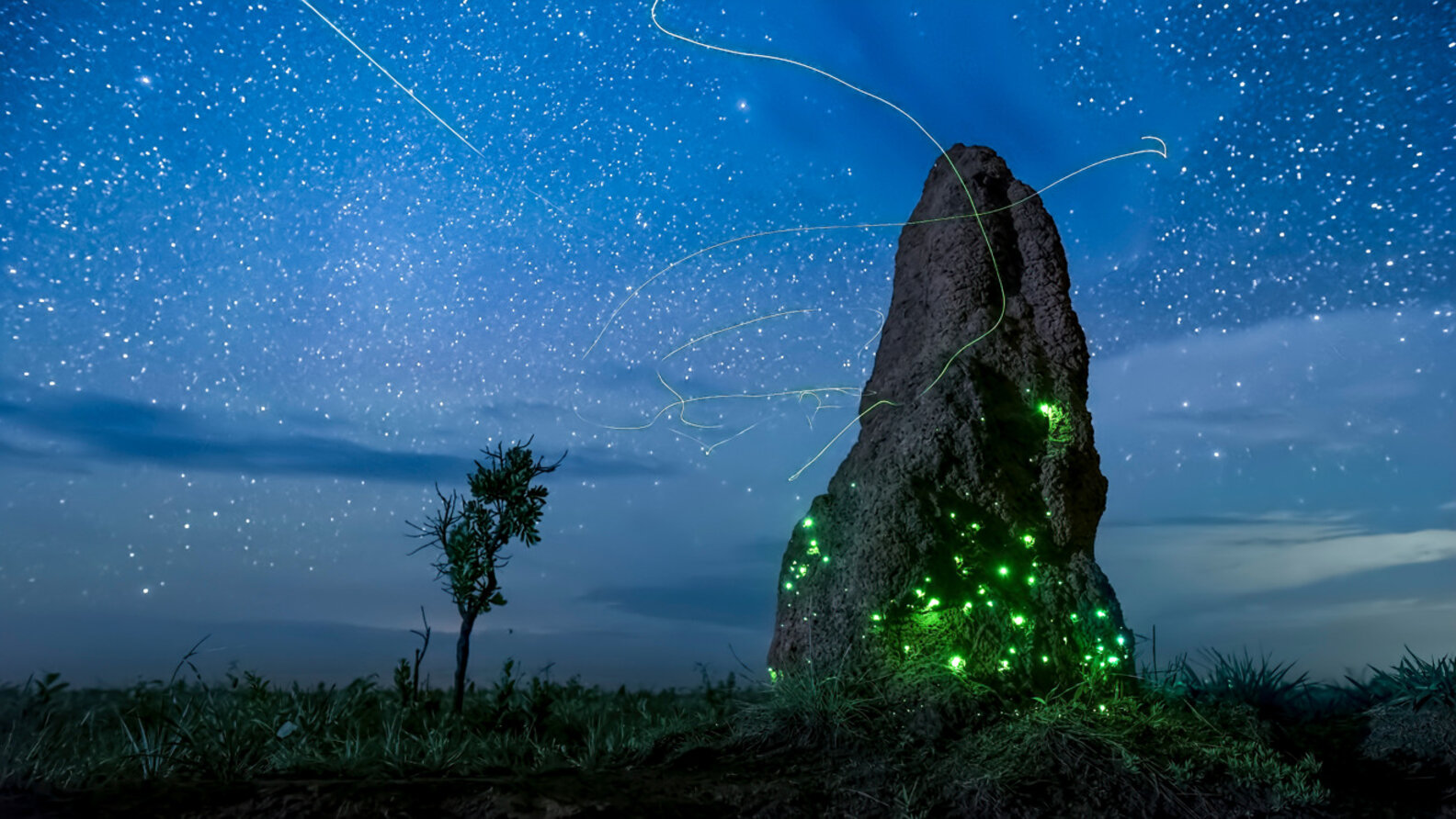 Best Nature Docuseries to Stream for Earth Day This Year - Thrillist