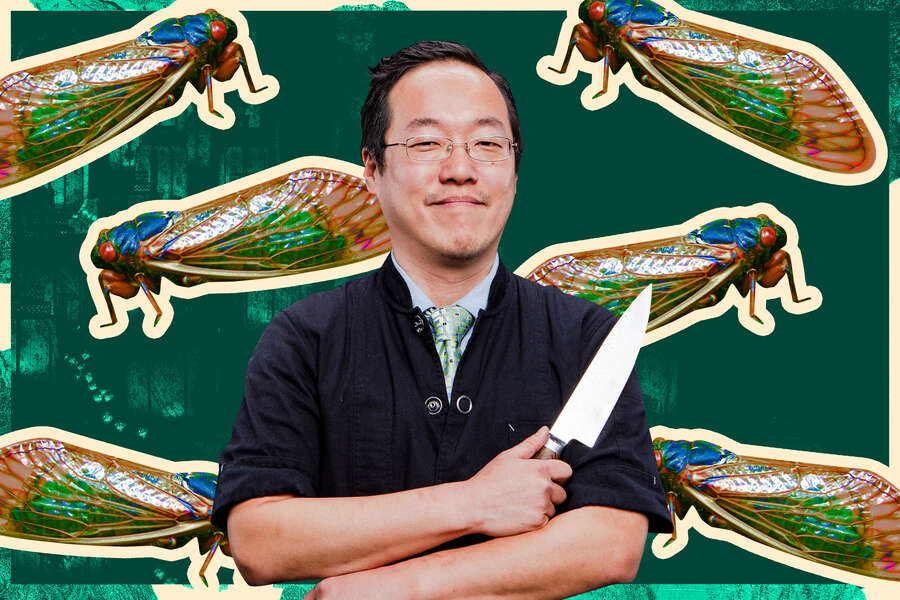 Cooking With Cicadas: What To Know Before Brood X Emerges - Thrillist
