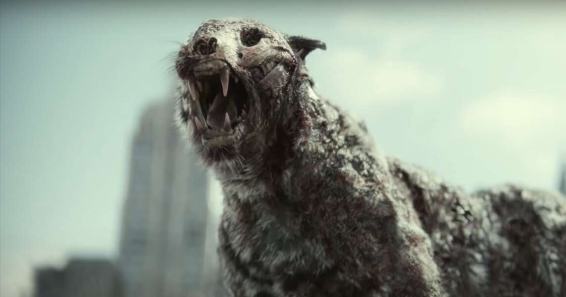 How 'Army of the Dead' Brought That Terrifying Zombie Tiger to Life ...