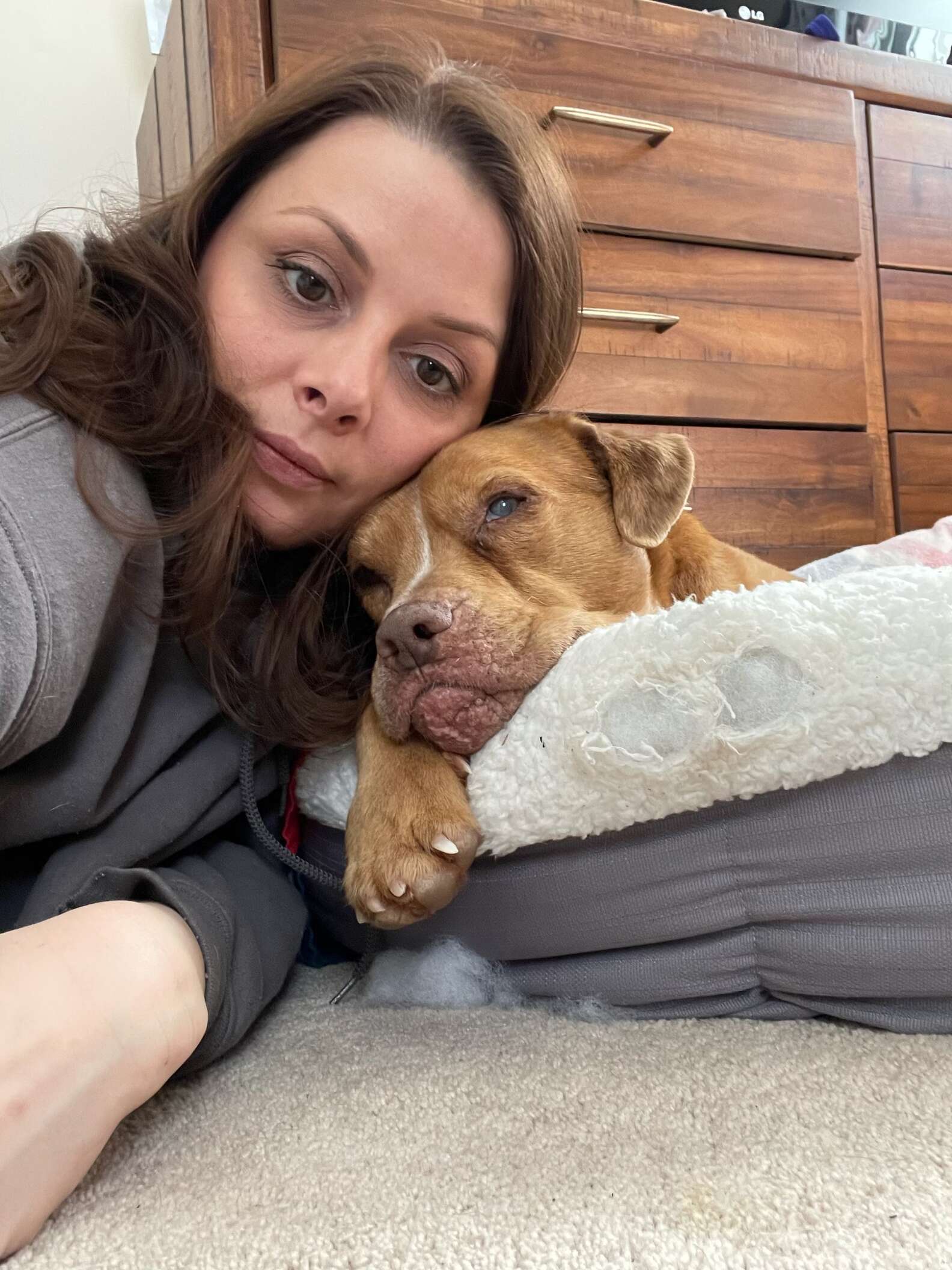 Blind Rescue Dog Gets So Excited For His Very First Bed - The Dodo