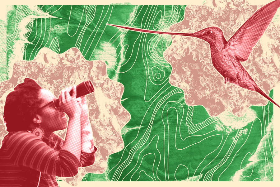 A Beginner’s Guide to Birdwatching - Thrillist