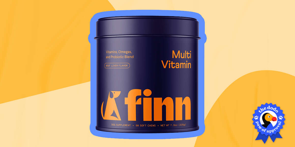 Finn Dog Multivitamin Reviews - Paw of Approval - The Dodo