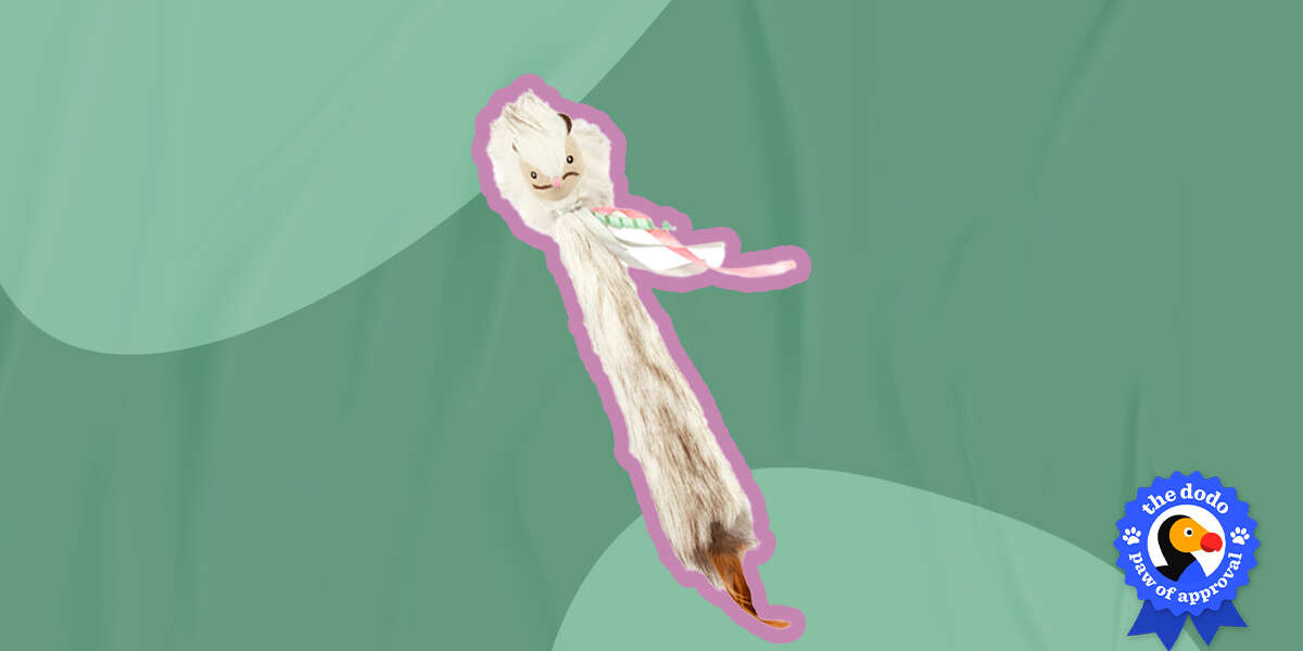 SmartyKat Chitter Critter Cat Toy Reviews - Paw of Approval - The Dodo