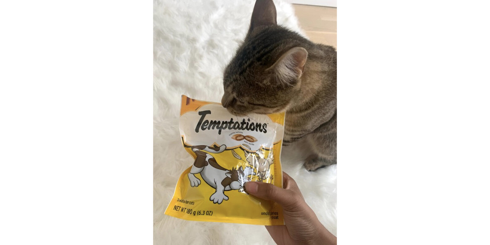 Temptations Classic Cat Treats Reviews - Paw of Approval - The Dodo