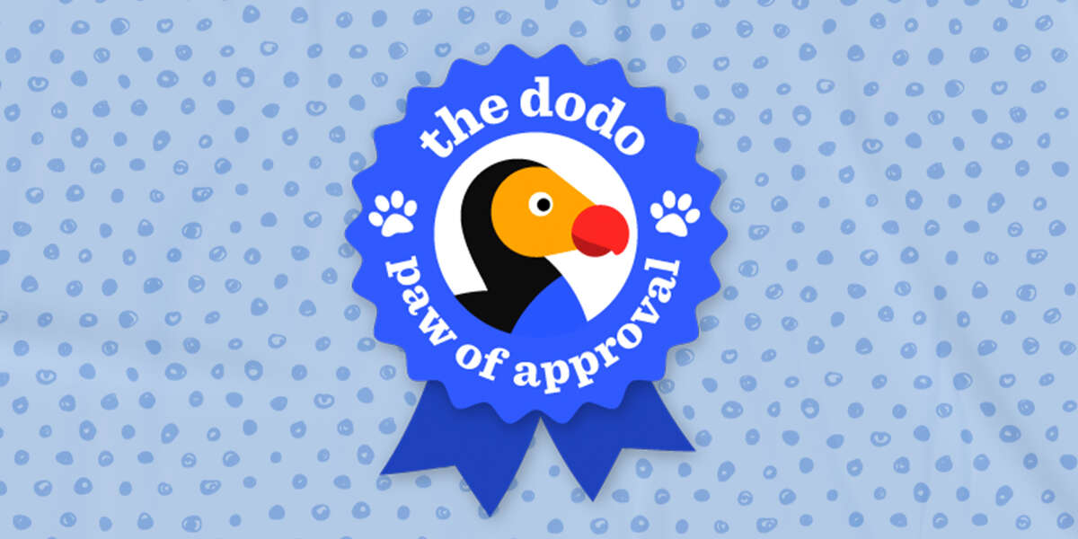 What Is The Dodo Paw Of Approval?