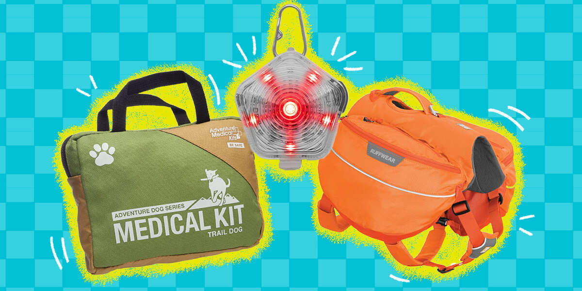 Best Dog Hiking Gear For An Adventure-Loving Pup - DodoWell - The Dodo