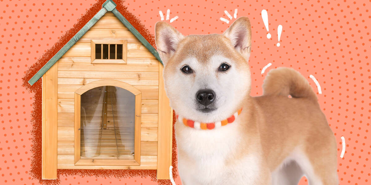 10 Splurge Worthy Dog Houses - DodoWell - The Dodo
