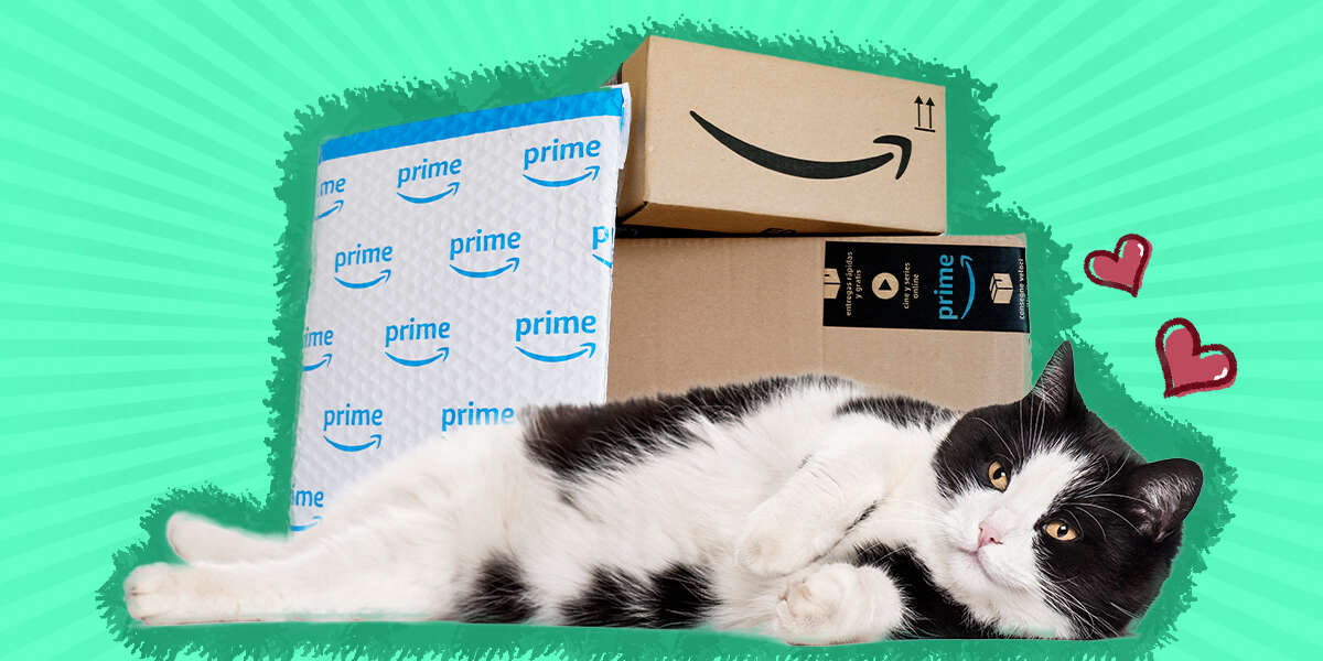 Amazon Prime Day Cat Trees And Scratching Posts Deals In 2021 ...