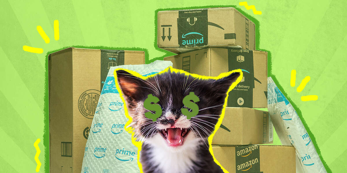 Amazon Prime Day Pet Deals Under $10 For Dog And Cat Parents - DodoWell ...