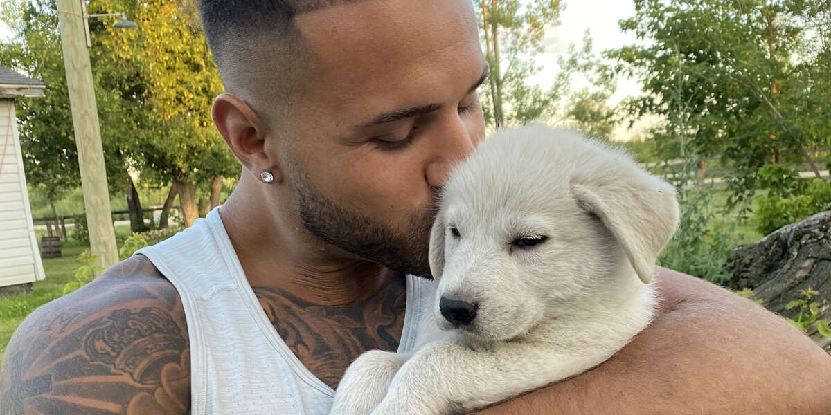 WATCH: Rescue Dogs Are Magic - The Dodo