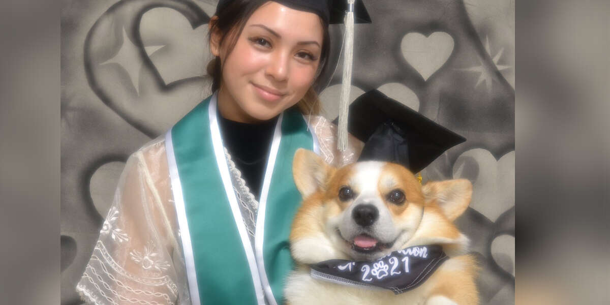 Student Does Photo Shoot With The Pup Who Helped Her Graduate - The Dodo