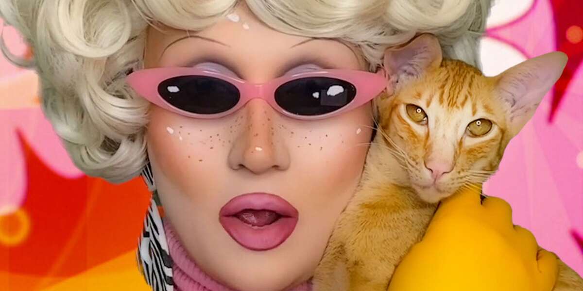 Outer Space Drag Queen Finds A Cat Who's Her Perfect Match - Videos ...
