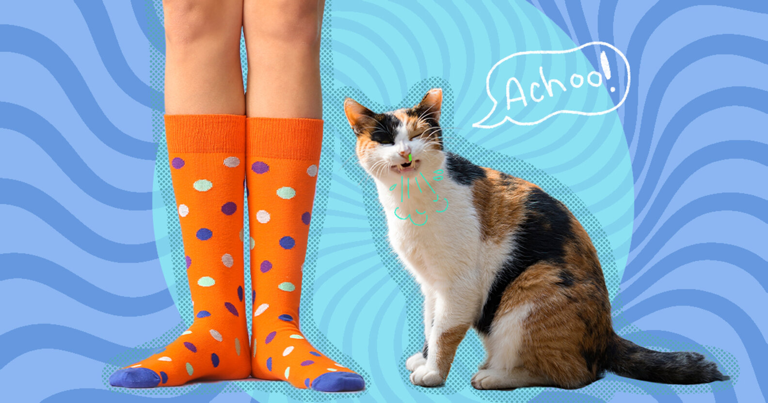Can Cats Be Allergic To Humans DodoWell The Dodo