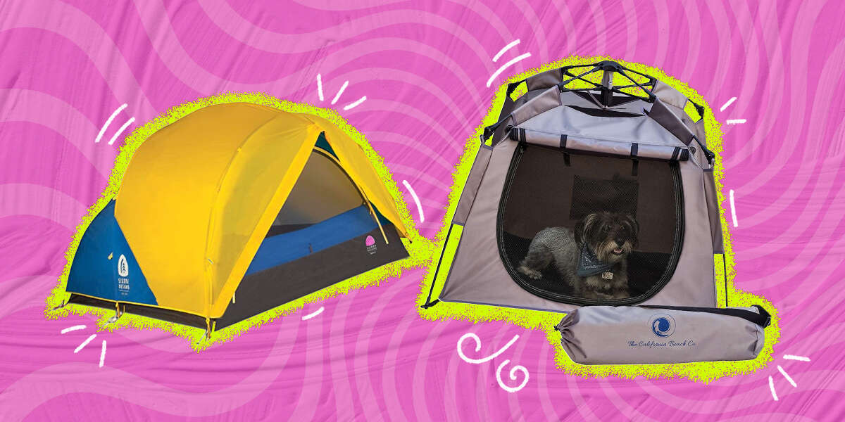 Best Tents For Camping With Dogs - DodoWell - The Dodo