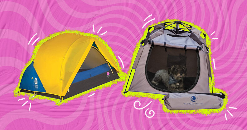 Best Tents For Camping With Dogs - DodoWell - The Dodo