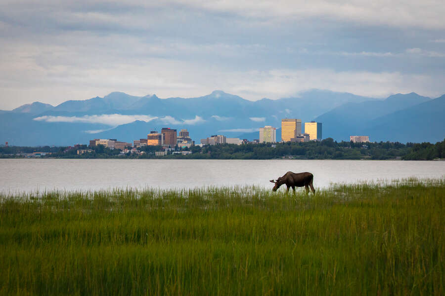 All of Anchorage’s Natural Wonders That You Have to Visit - Thrillist