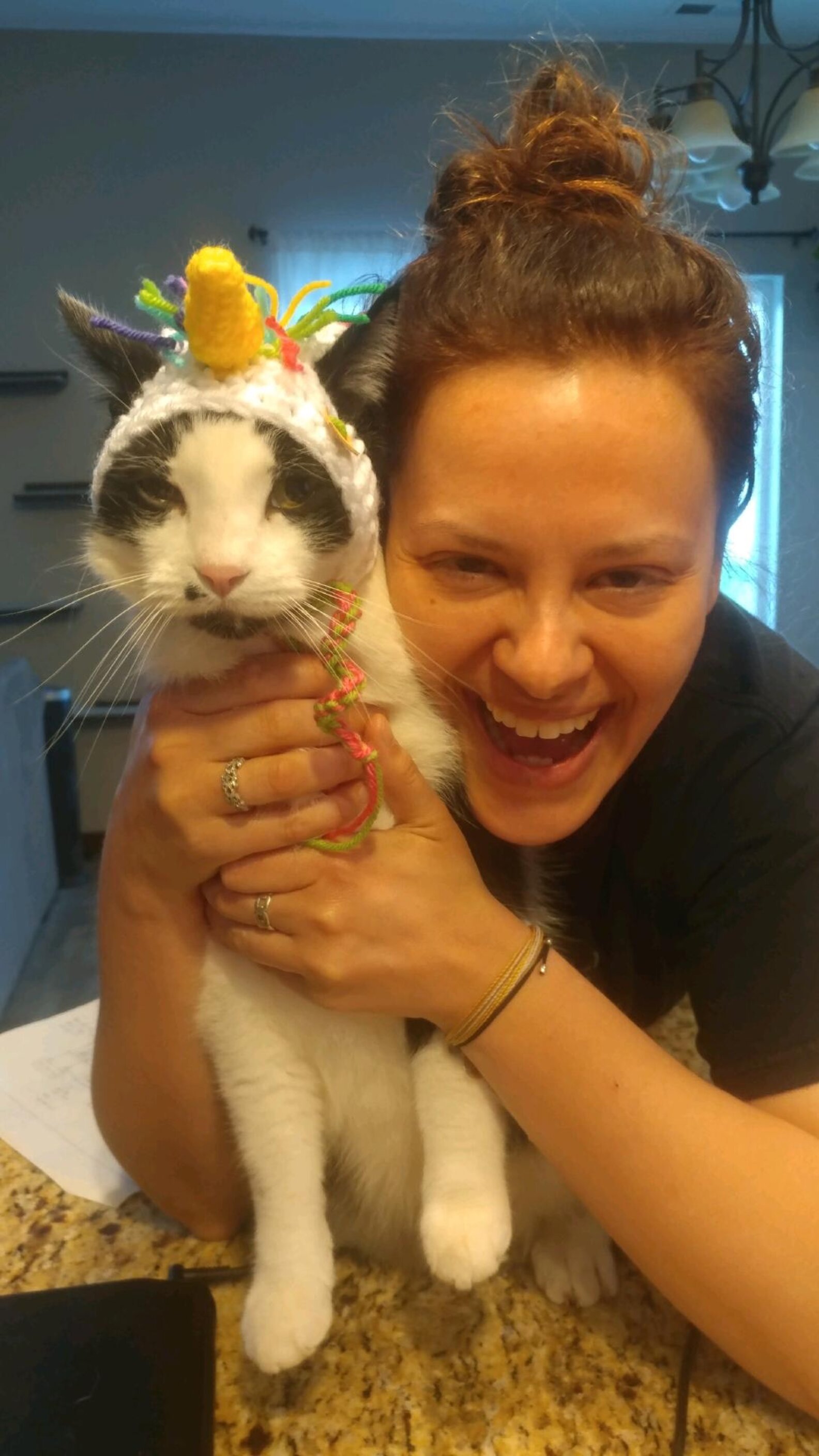 Woman Sees Her Cat On A Lost Pets Page - The Dodo