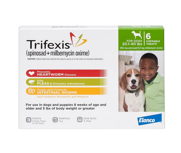 Whats The Best Worming Tablets For Dogs