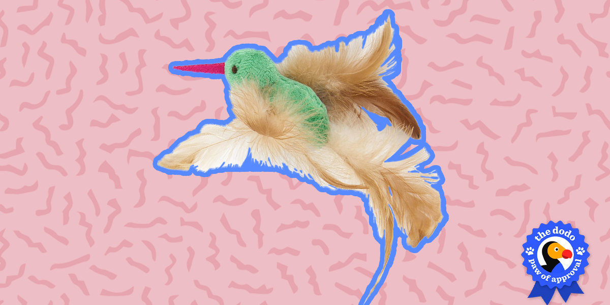 SmartyKat Hum Singer Reviews - Paw of Approval - The Dodo