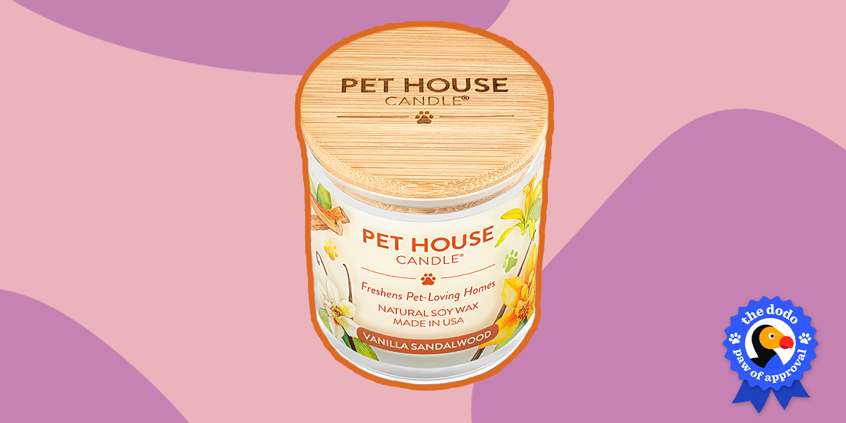 One Fur All Pet House Candles Reviews - Paw of Approval - The Dodo