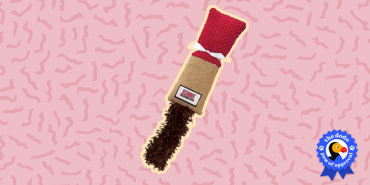 KONG Kickeroo Review - Paw of Approval - The Dodo